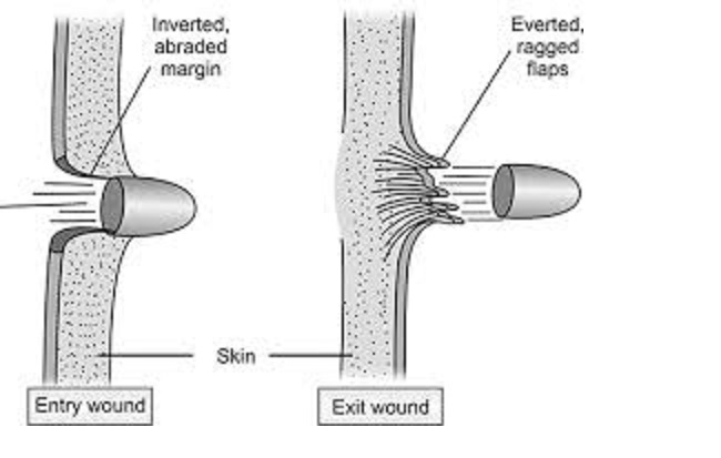 Was Lee Harvey Oswald Really Guilty